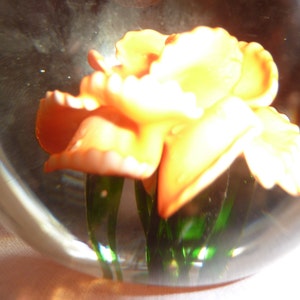 Orange Flower Art Glass Paperweight - Etsy