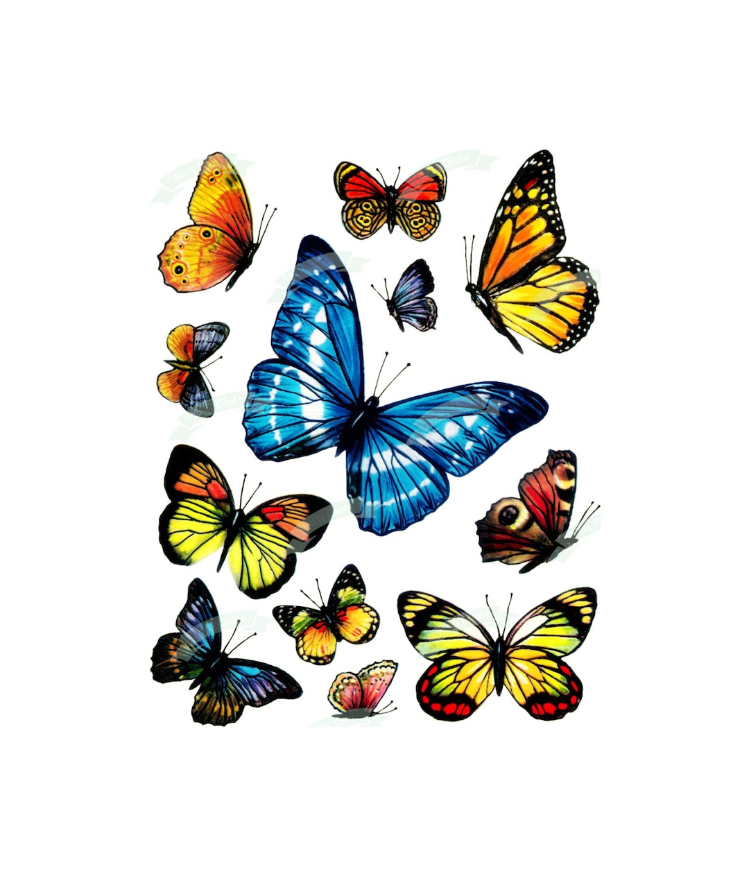 Vintage Digital Download, Vintage Butterfly, Vintage Greeting Card ...