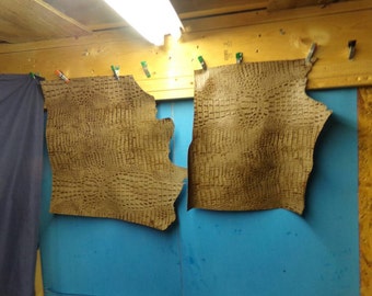 Alligator hide | Etsy