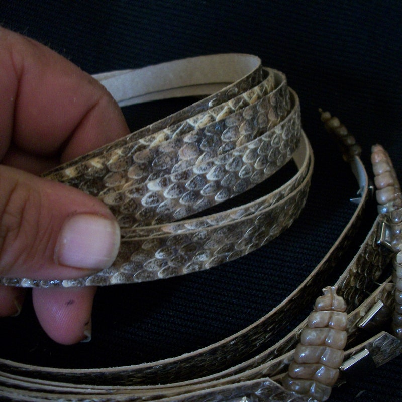 Real Snake Skin - Etsy