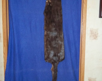 Native American Otter Pelts - Etsy