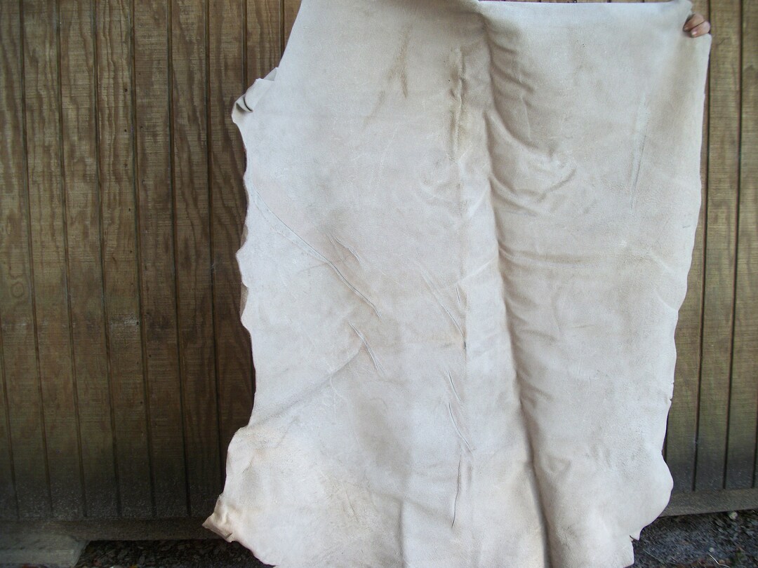 1 Real Heavy Full Skin Pig Hog Animal Leather Hide Tanned Taxidermy Man ...