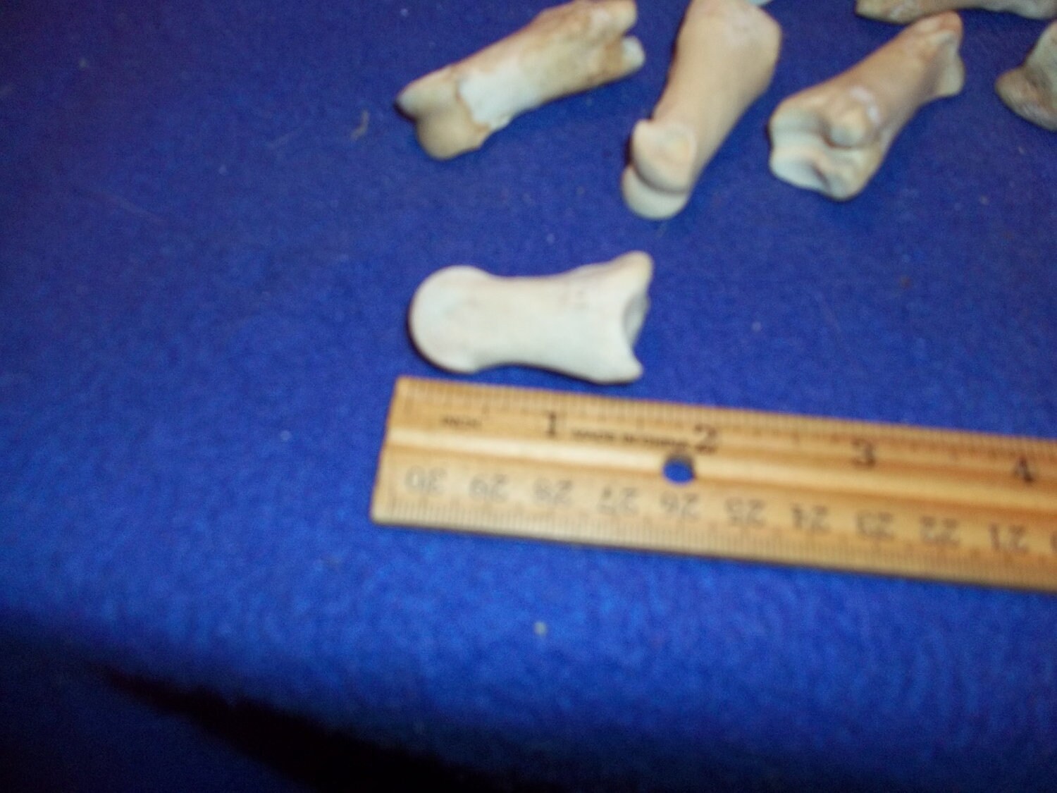 10 Real Animal Deer Toe Knuckle Bones Craft Supplies Part | Etsy UK