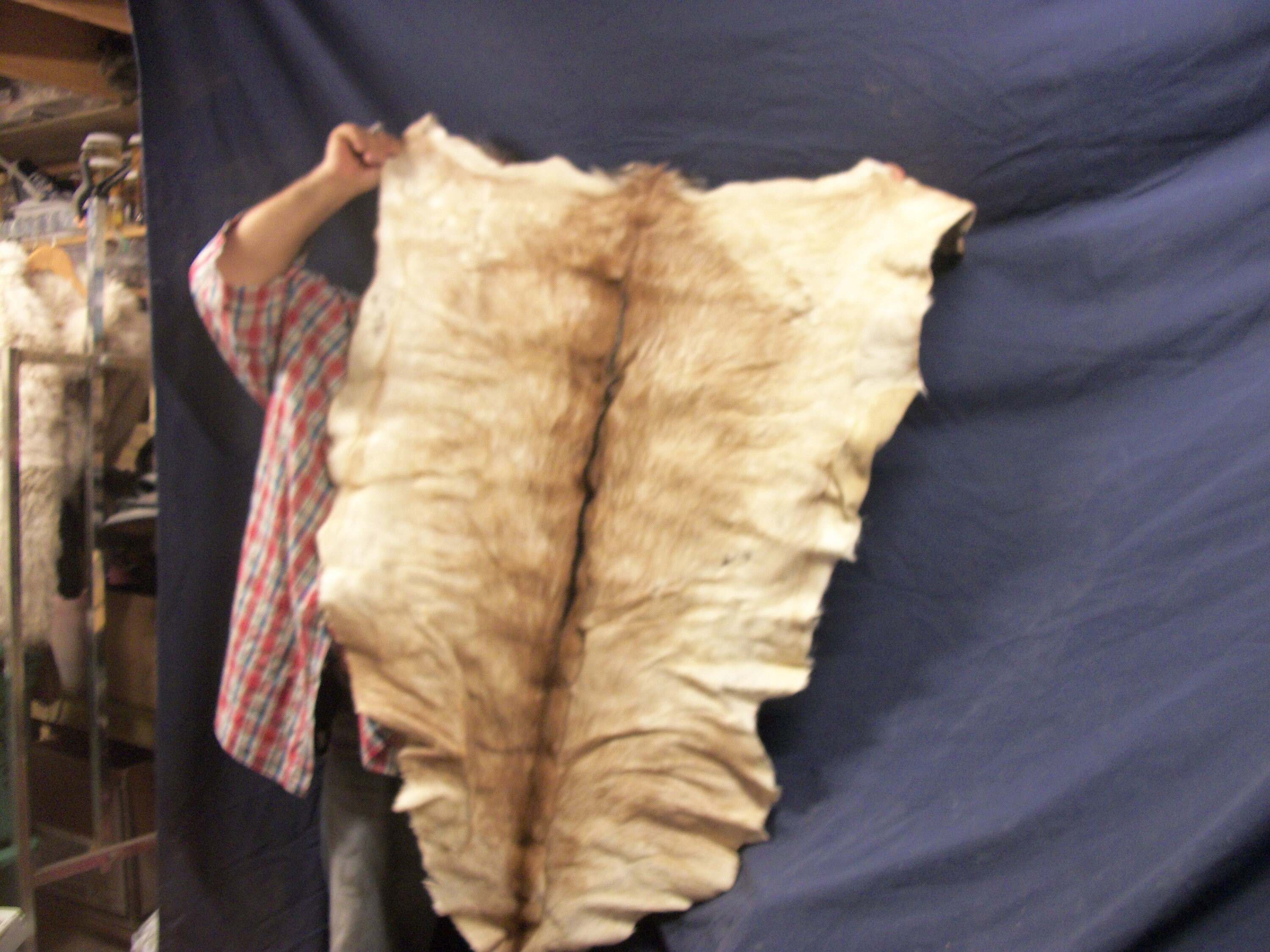 Real animal goat hide skin hide fur tanned taxidermy rug | Etsy