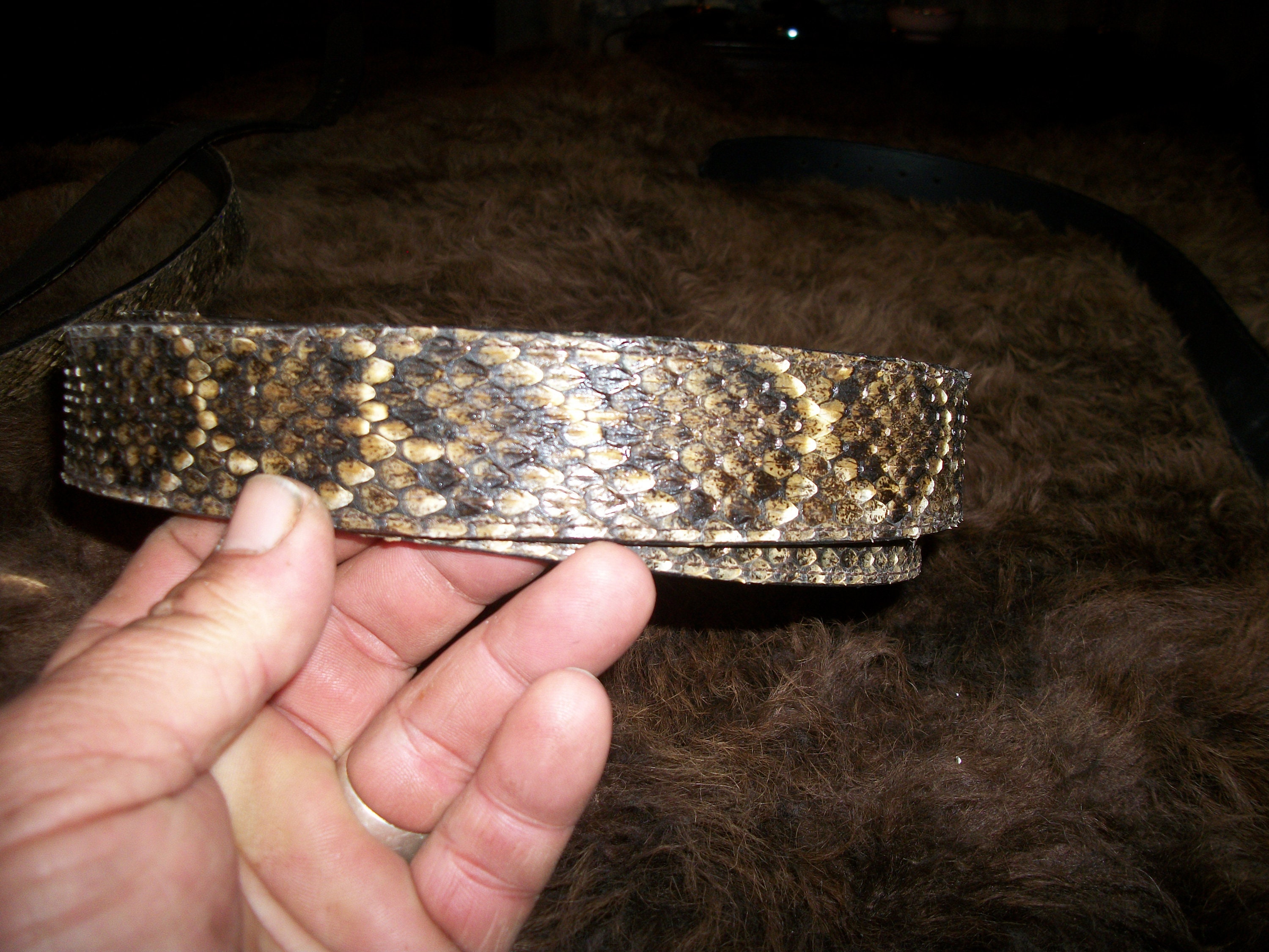 1 Real animal tanned diamond back rattle Snake skin belt part | Etsy