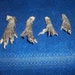 4 Muskrat Feet Real Animal Bone Taxidermy Weird Craft Parts Claws - Etsy