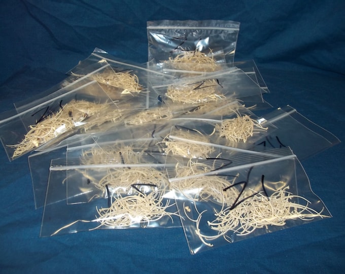 1 Bag Real Animal Bone Rattle Snake Ribs Western Diamond Back Taxidermy ...