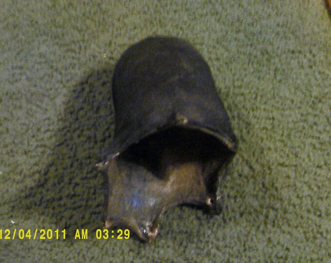 Real Bull Scrotum Bag Animal Part Nut Sack - Etsy