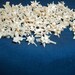10 Med Real Animal Back Bone Rattle Snake Vertebra Skeleton Part Craft ...