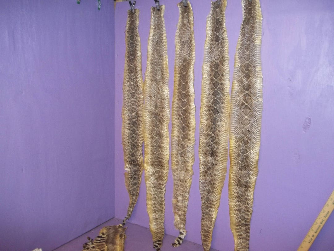 1 Real Animal Tanned Hide Pelt Rattle Snake Skin Part Western Diamond ...