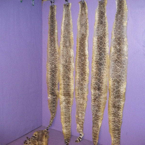 Real Animal Skin - Etsy