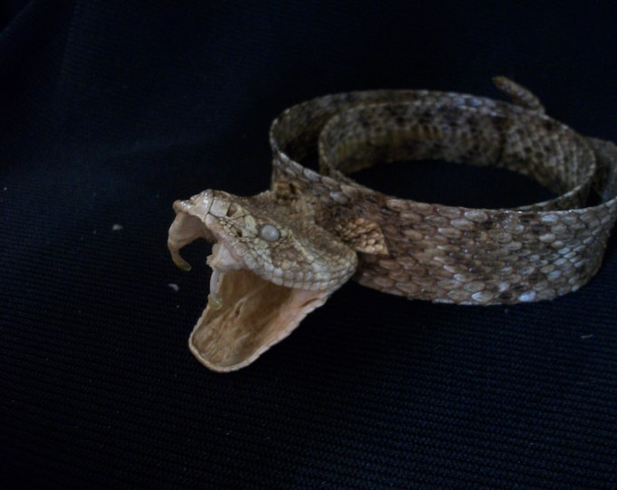 1 Real Animal Tanned Western Diamond Back Rattle Snake Skin Hat Band ...