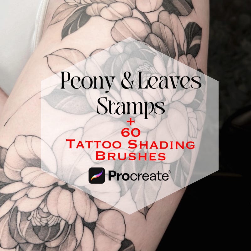 Calligraphy Brush Packs - Etsy