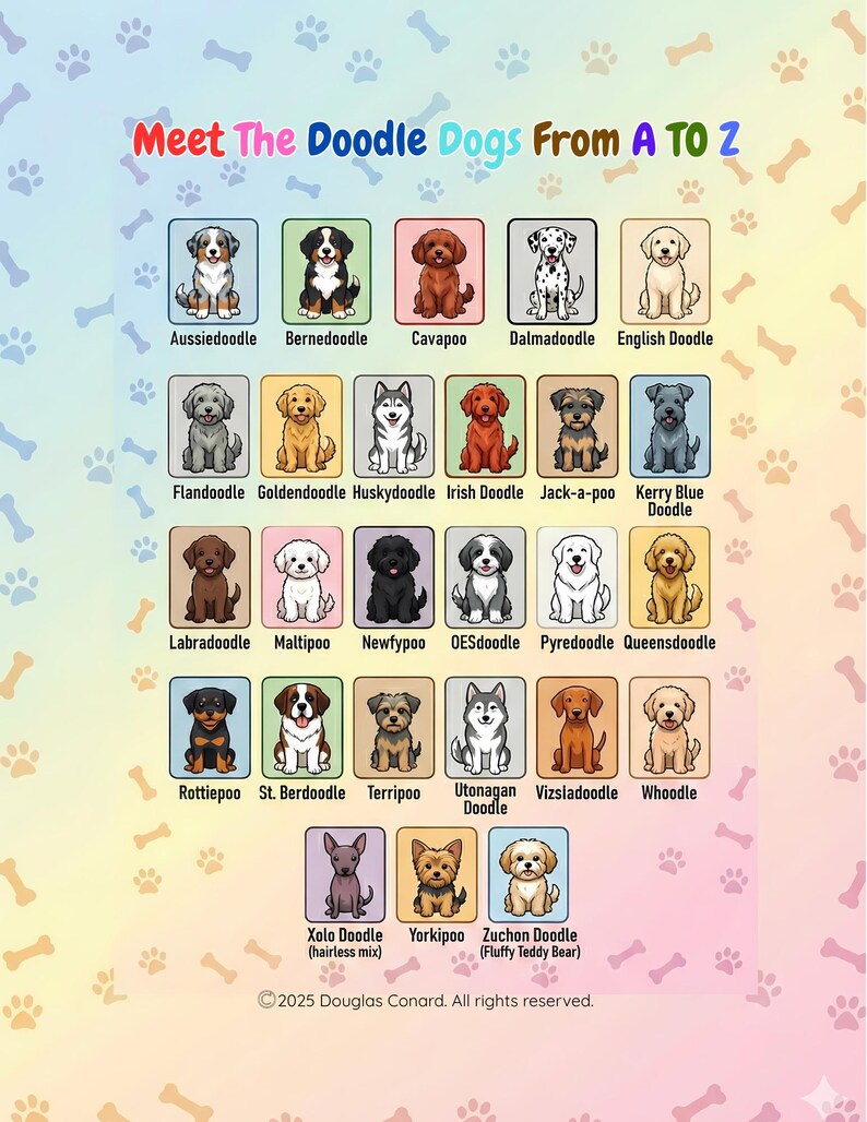 Doodle Dog Abcs Coloring Book - Etsy