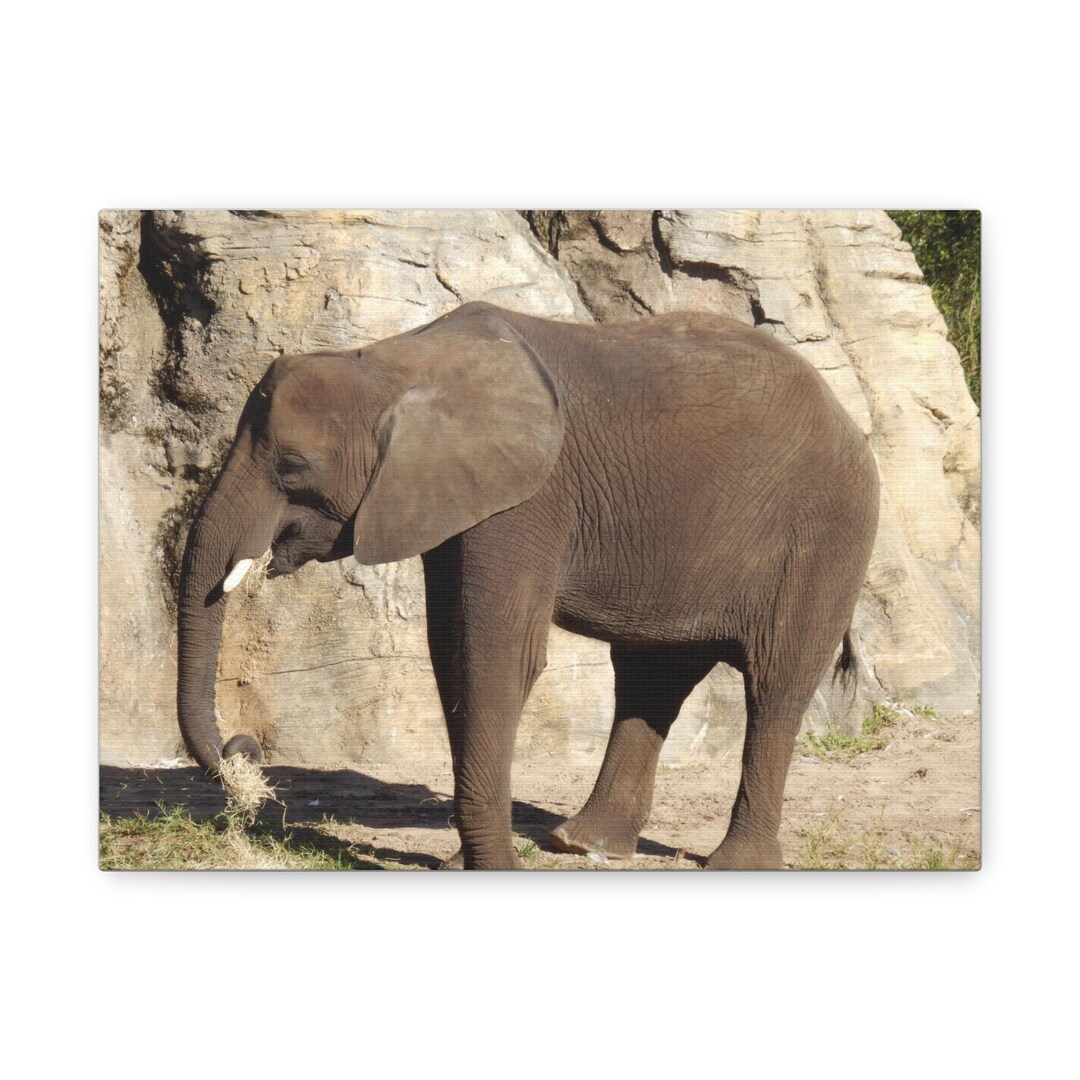 Majestic Elephant Wildlife Canvas Print, Stretched, 1.25" - Etsy