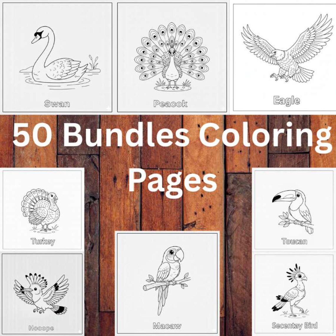 Bird Coloring Pages for Kids | 50 Printable Animal Designs (instant ...