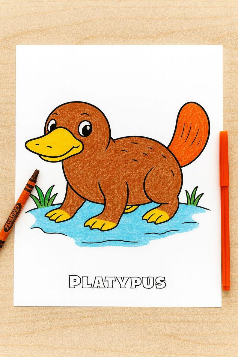 Platypus Coloring Page • Kids Printable Coloring Sheet • Preschool ...