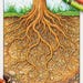 Tree Roots Coloring Page for Kids & Adults | Nature Science Art ...