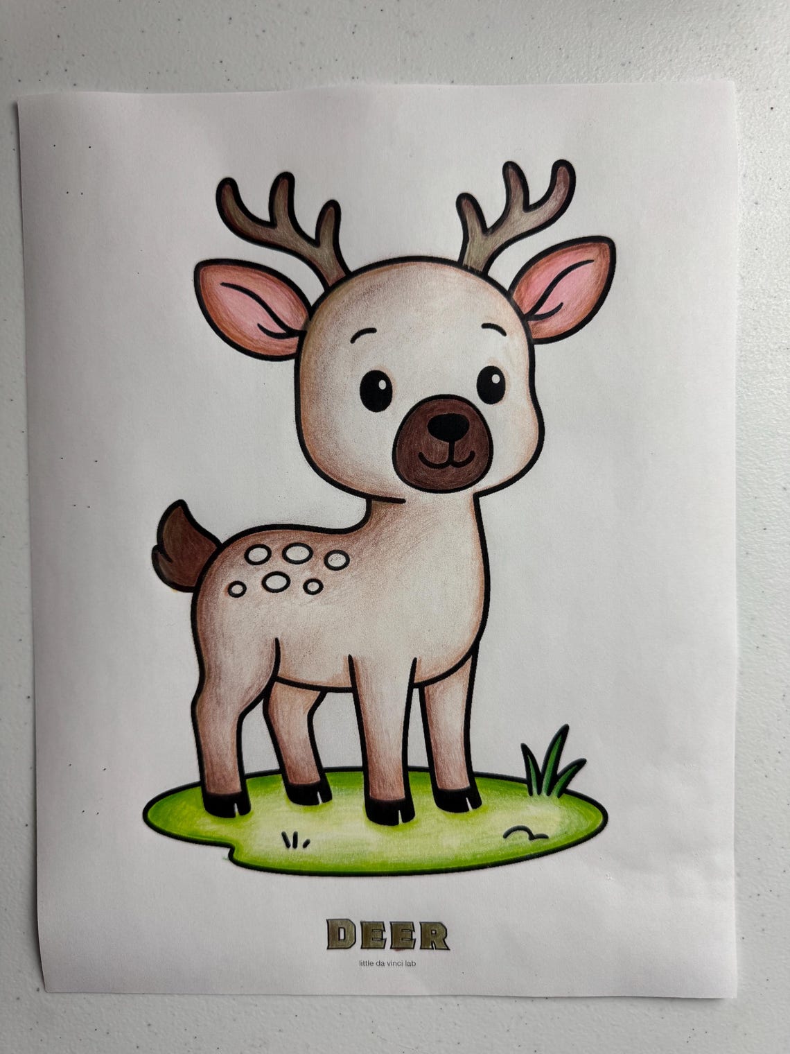 Deer Coloring Page • Kids Printable Coloring Sheet • Preschool ...