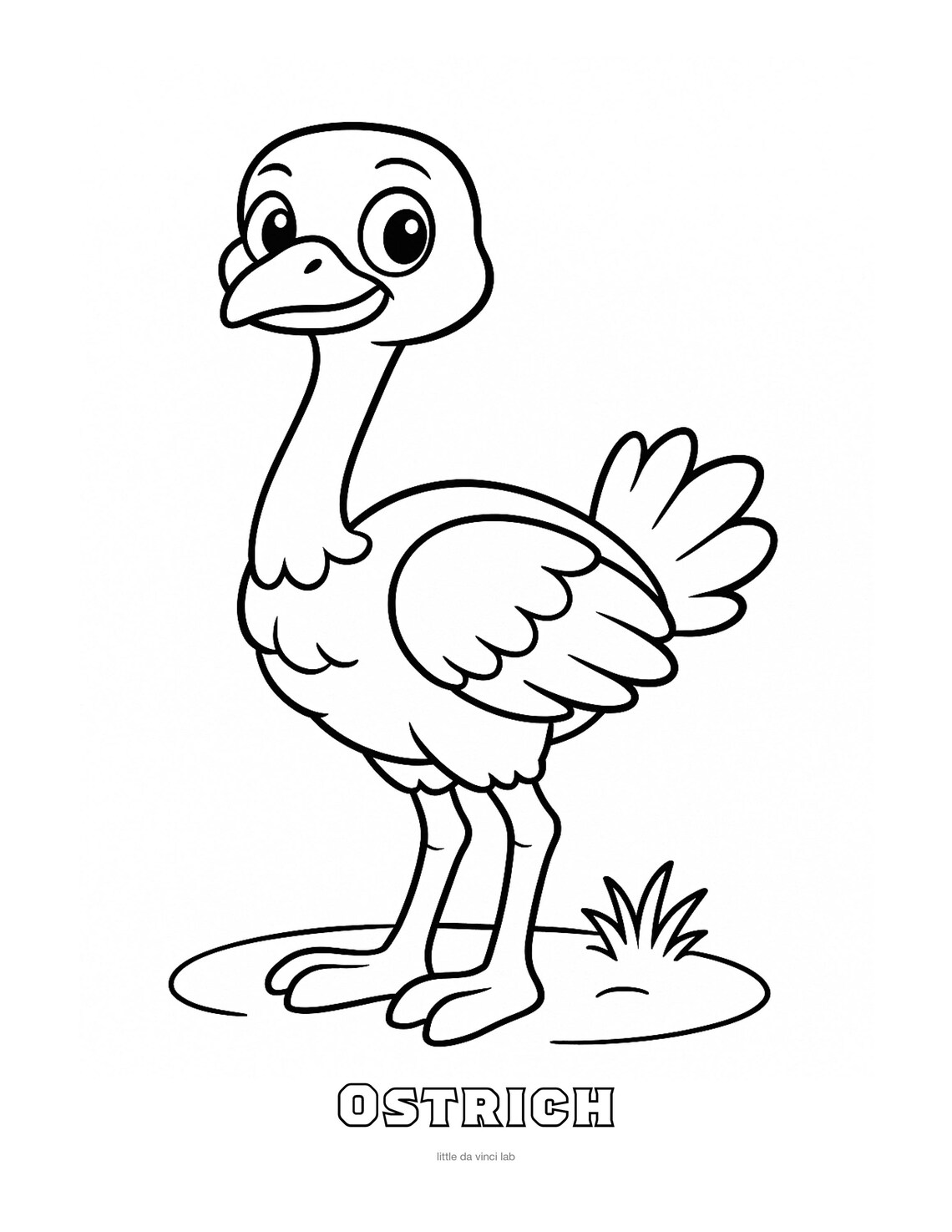 Ostrich Coloring Page • Kids Printable Coloring Sheet • Preschool ...