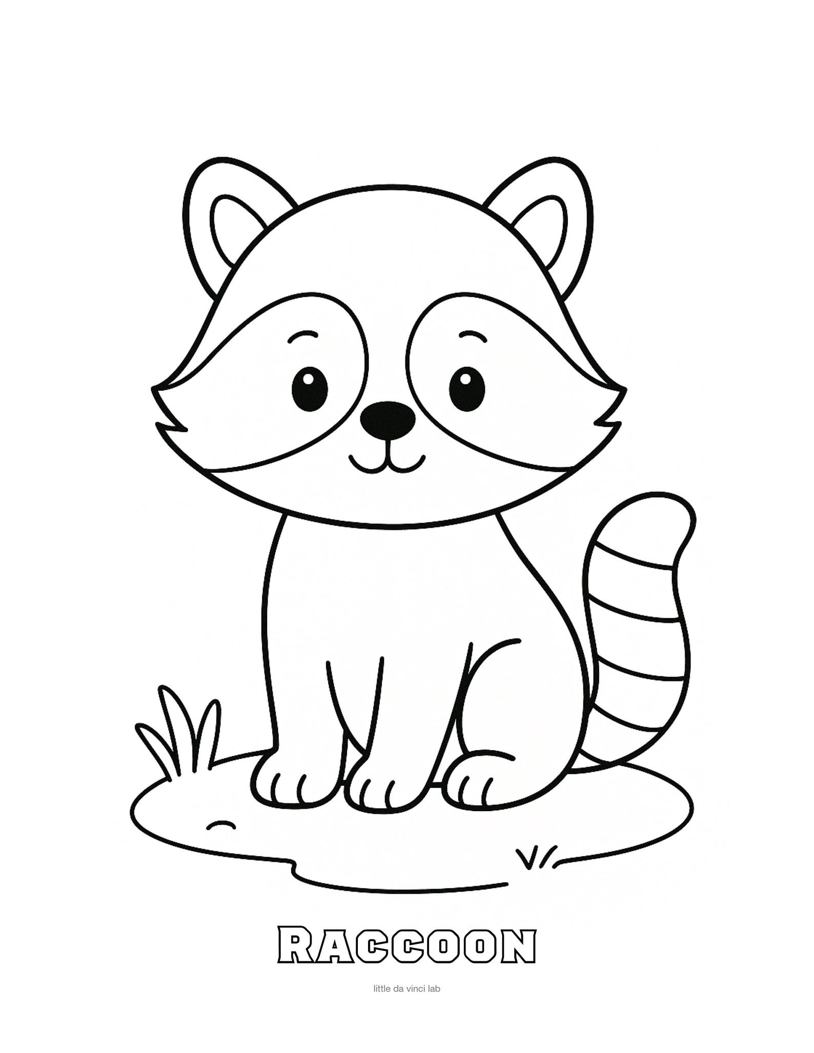 Raccoon Coloring Page • Kids Printable Coloring Sheet • Preschool ...