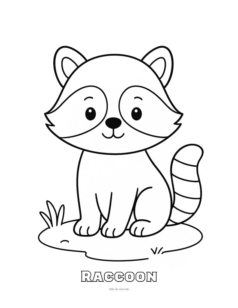 Raccoon Coloring Page • Kids Printable Coloring Sheet • Preschool ...