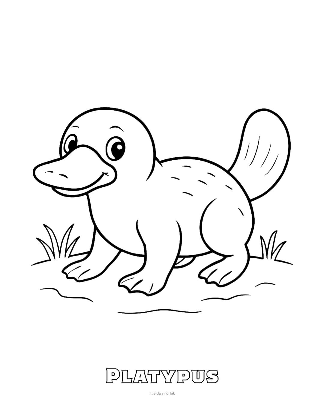 Platypus Coloring Page • Kids Printable Coloring Sheet • Preschool ...
