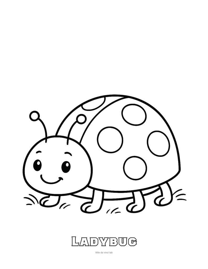Ladybug Coloring Page • Kids Printable Coloring Sheet • Preschool ...
