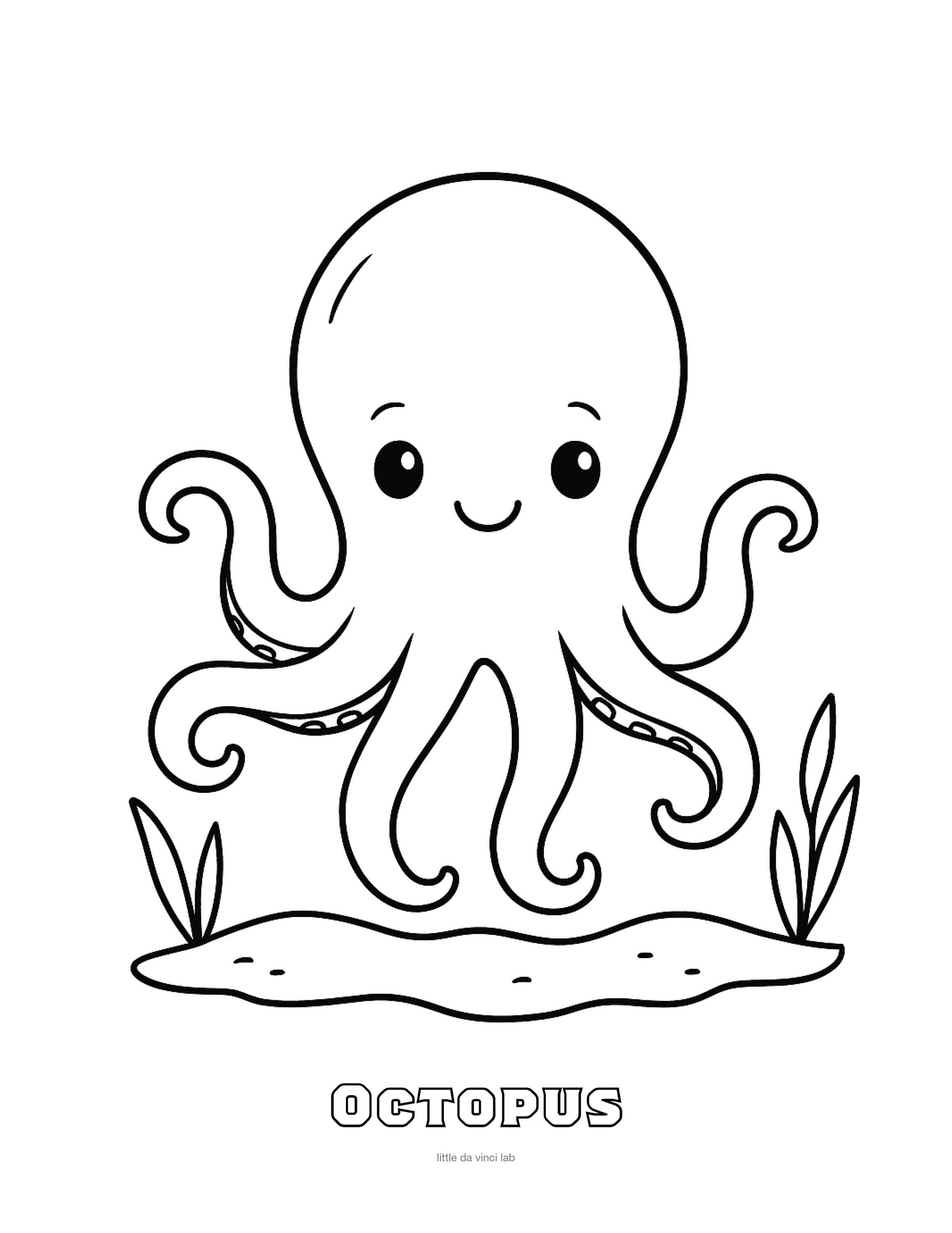 Octopus Coloring Page • Kids Printable Coloring Sheet • Preschool ...