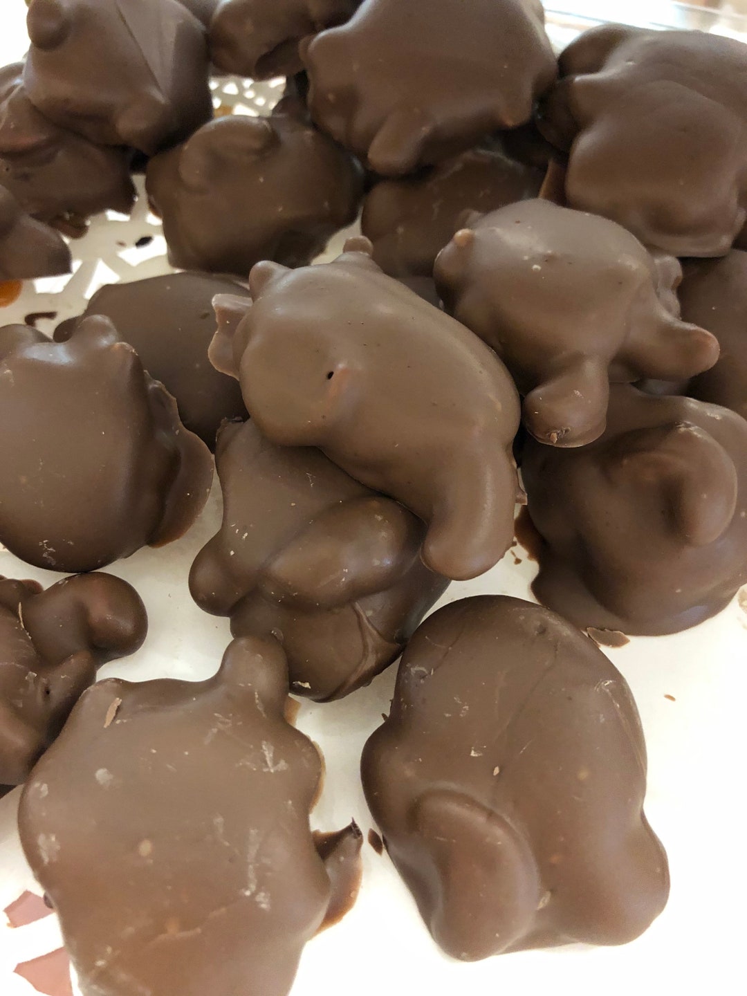 6 Pc. Box Caramel & Cashew Patties Your Choice of Chocolate - Etsy