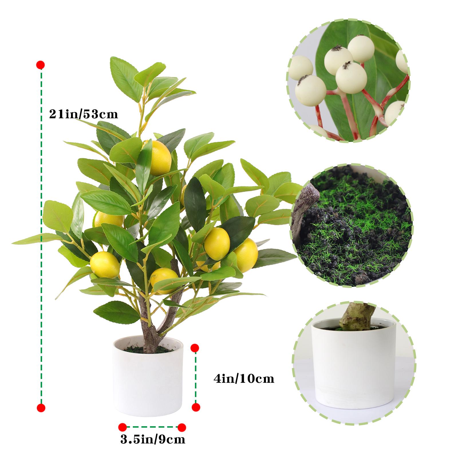 Faux Lemon Tree in White Pot, Artificial Potted Plant - Etsy