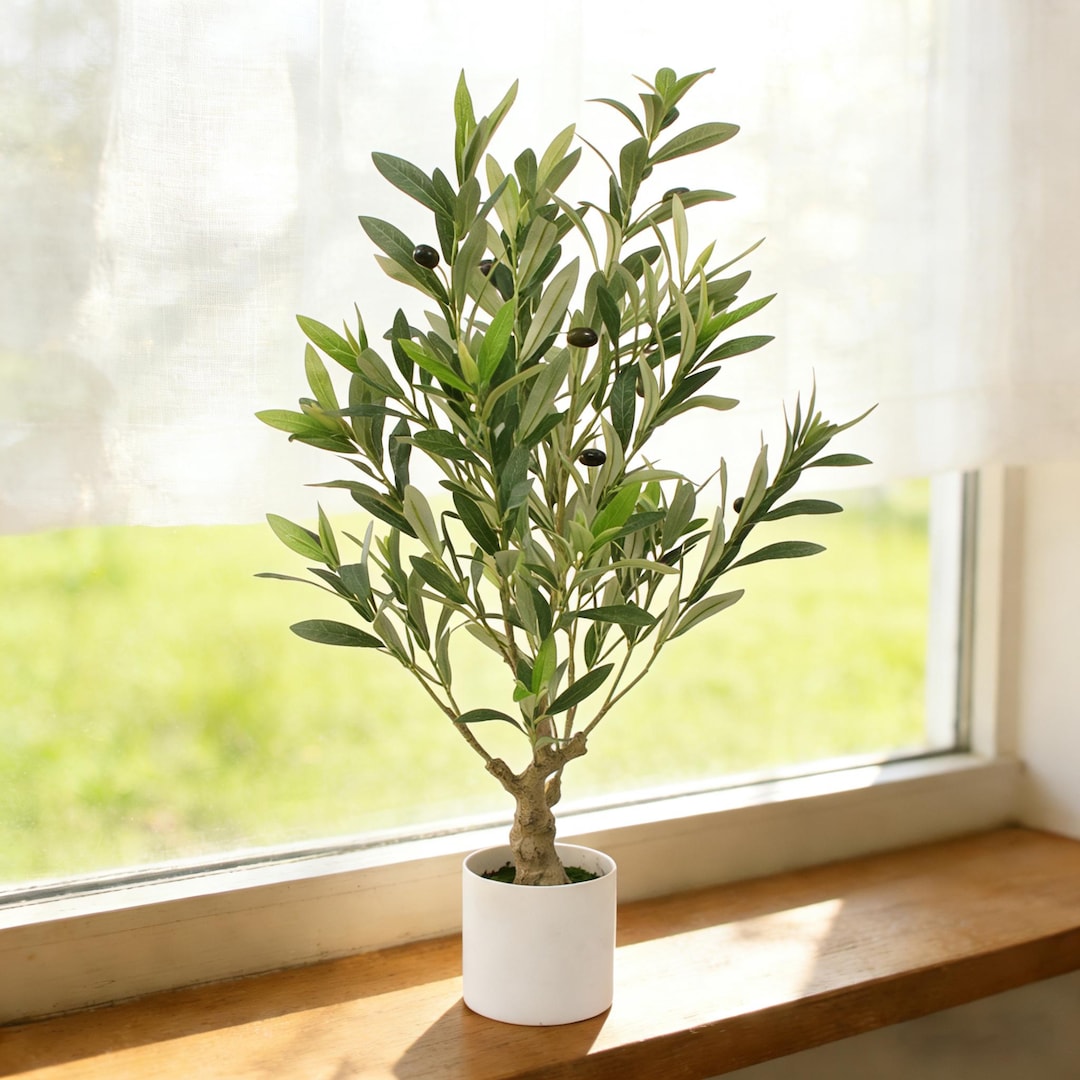 Potted Olive Tree Artificial Olive Branch Stem Plant Suitable for ...