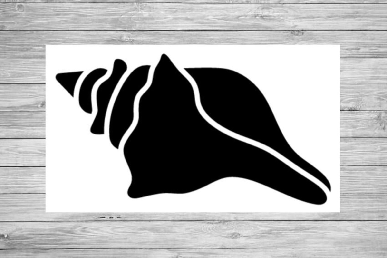 Seashell Vinyl Decal - Etsy