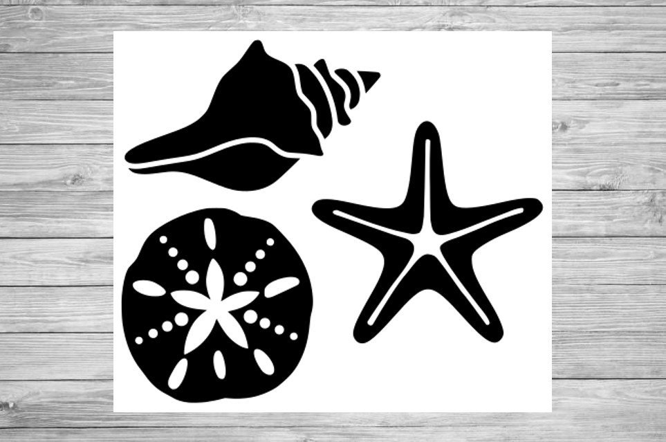 SVG Vector Download - Seashell Trio: Conch, Starfish, Sand Dollar - Etsy