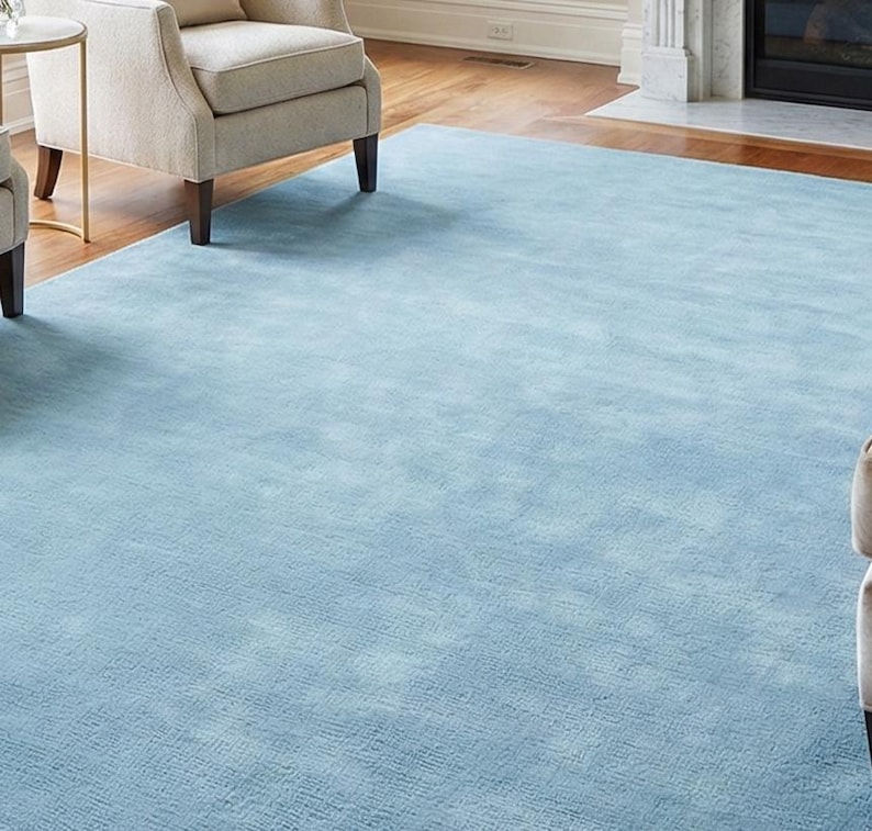 Sky Blue Plush Shaggy Area Rug Soft Solid Carpet for Living Room ...