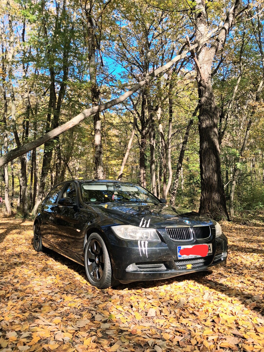 BMW E90 Autumn Photo • Automotive Wall Art (digital Download) - Etsy