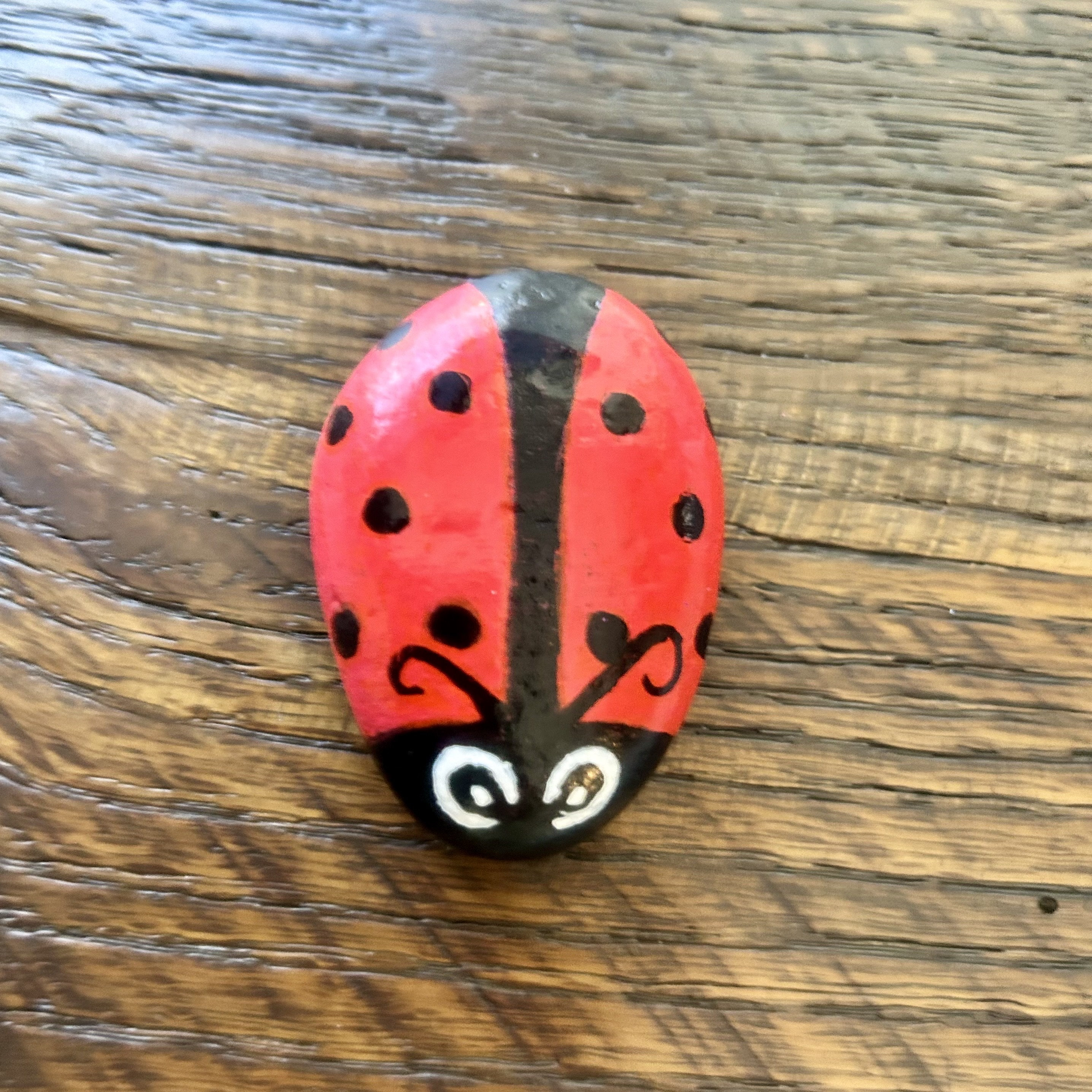 Hand Painted Ladybug Rock With Inspirational Saying on the Back. - Etsy