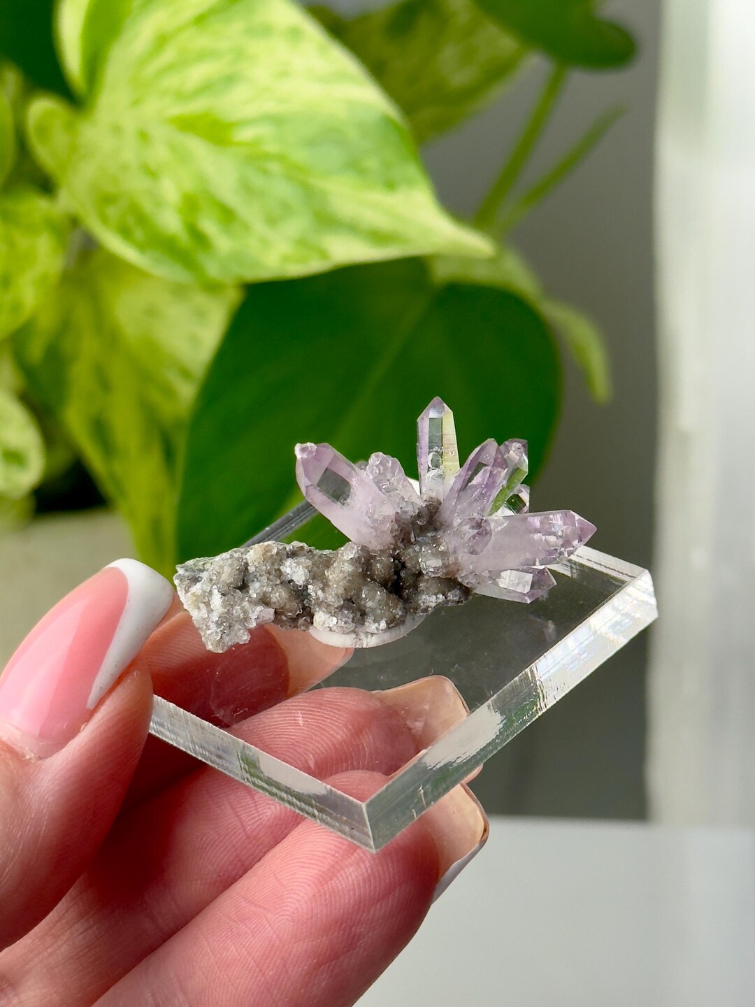 Vera Cruz Amethyst Crystal Cluster // Natural Purple Mineral Rock Raw ...