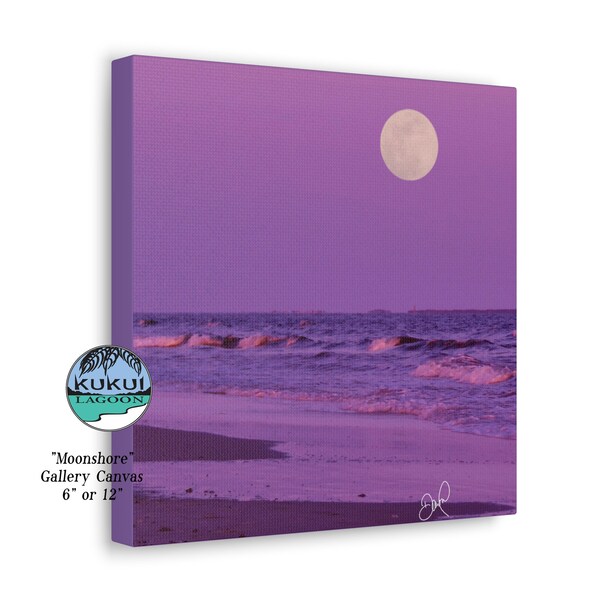 Full Moon Lagoon - Etsy