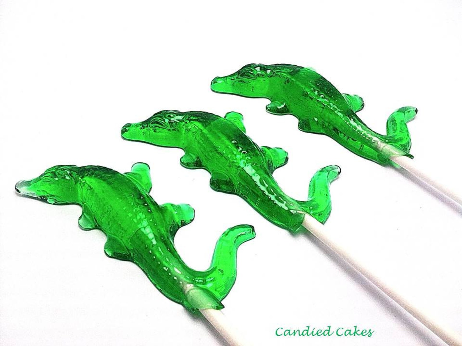 12 ALLIGATOR LOLLIPOPS - Gator Party, Reptile Party - Etsy