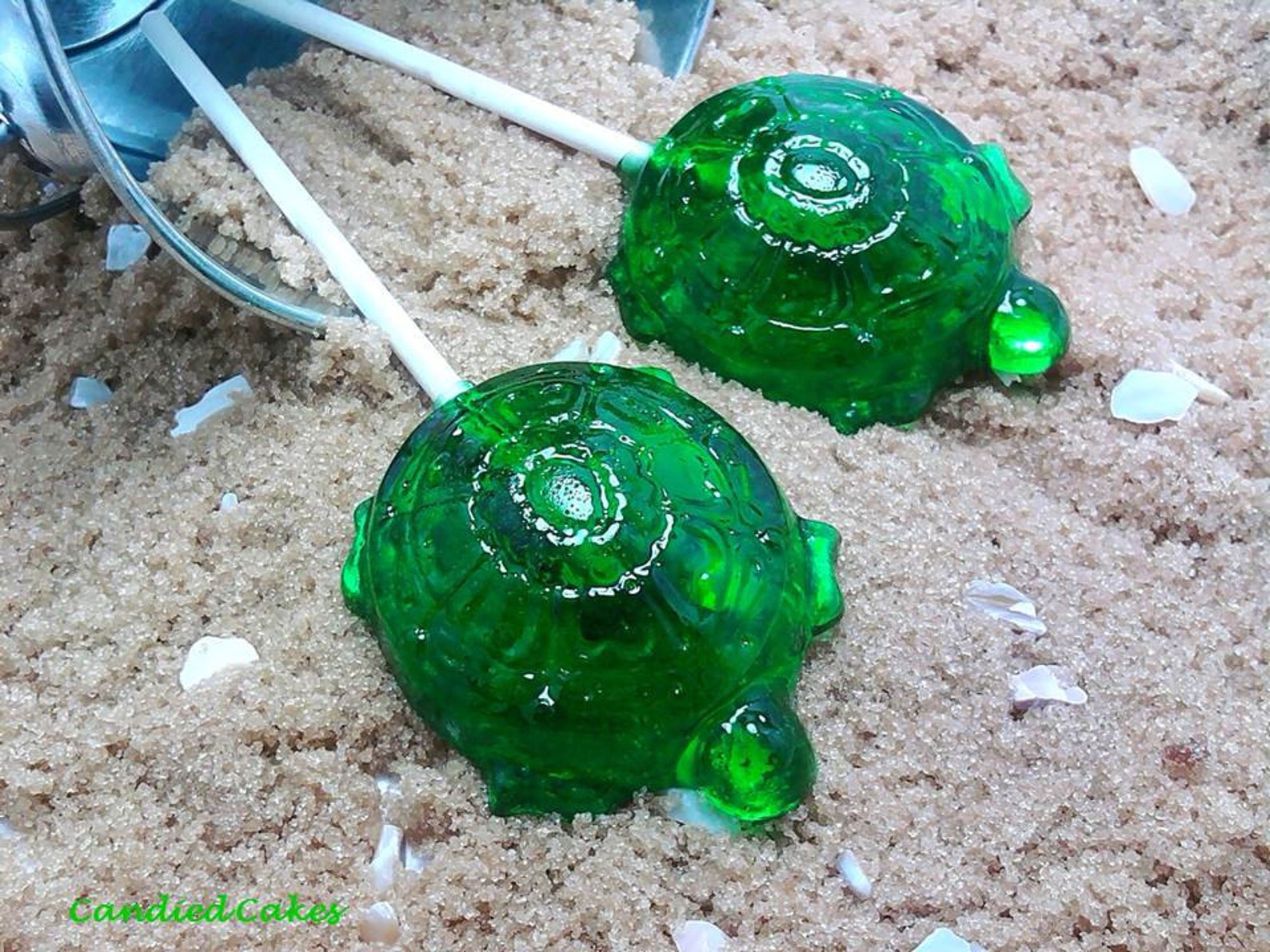 12 TURTLE LOLLIPOPS - Turtle Party Favors - Etsy
