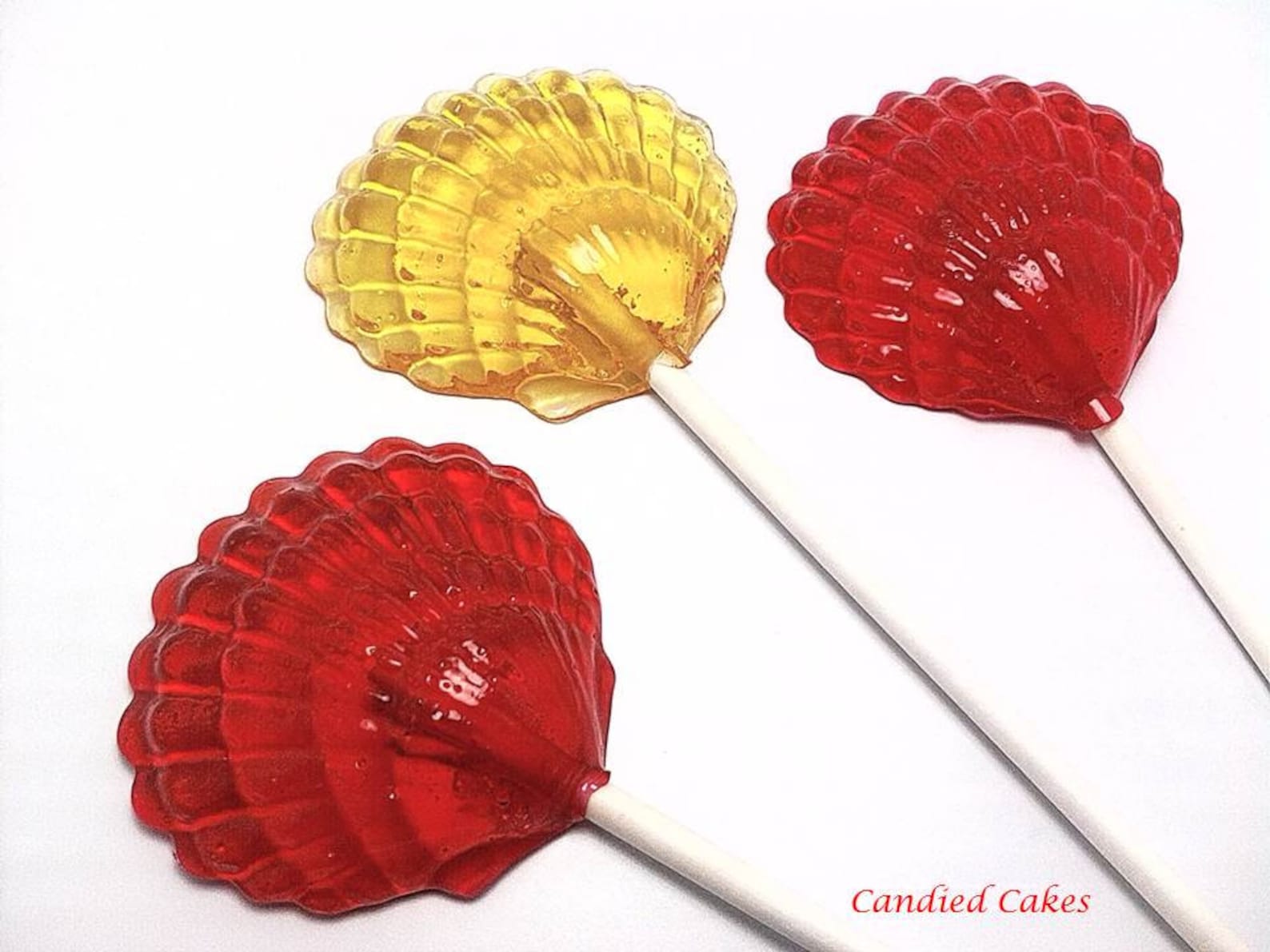 12 CLAMSHELL Lollipops Mermaid Partybeach Wedding Party - Etsy