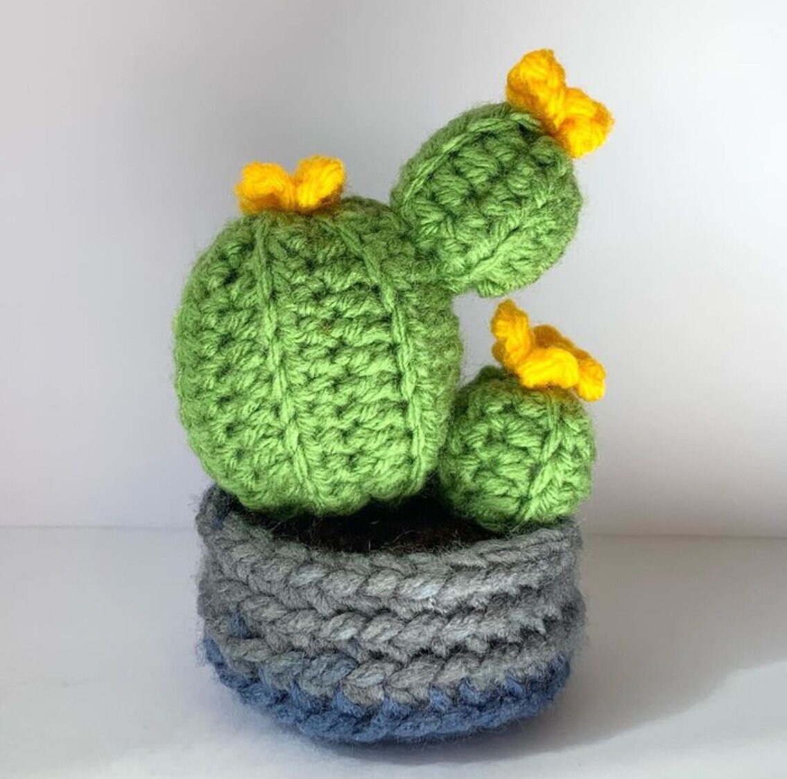 Cactus Crochet Pattern PDF - Etsy