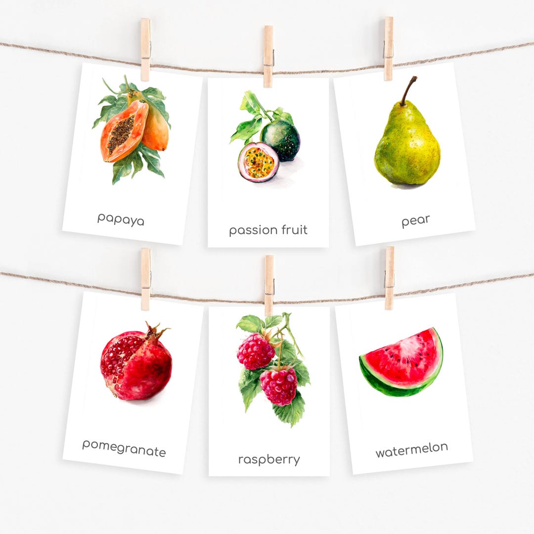 12 Types of Fruit Nomenclature Cards, Montessori Flashcards, Digital ...