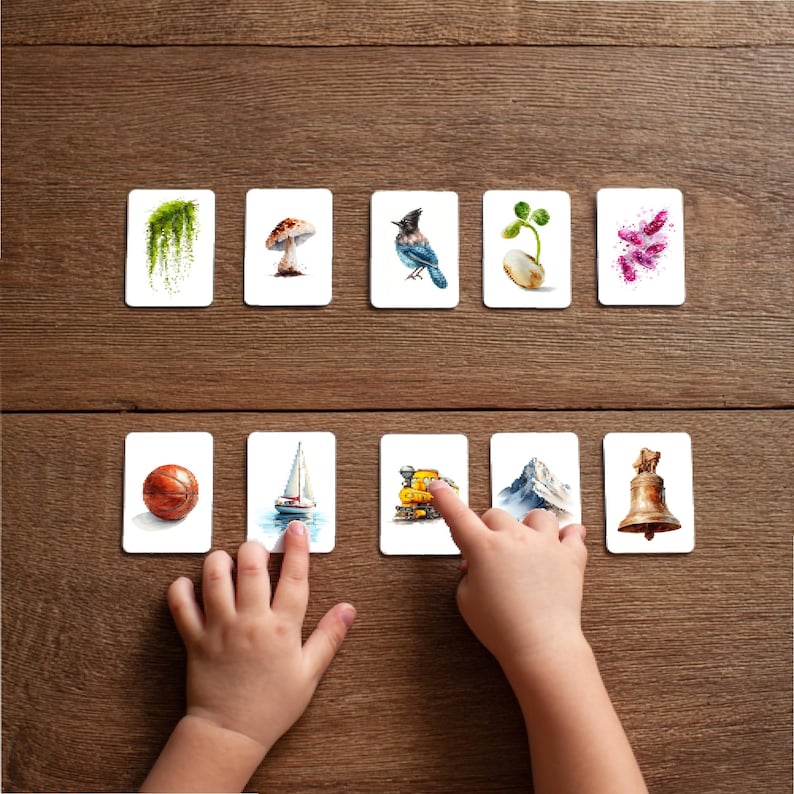 Living Nonliving Science Classification, Montessori Language Cards ...