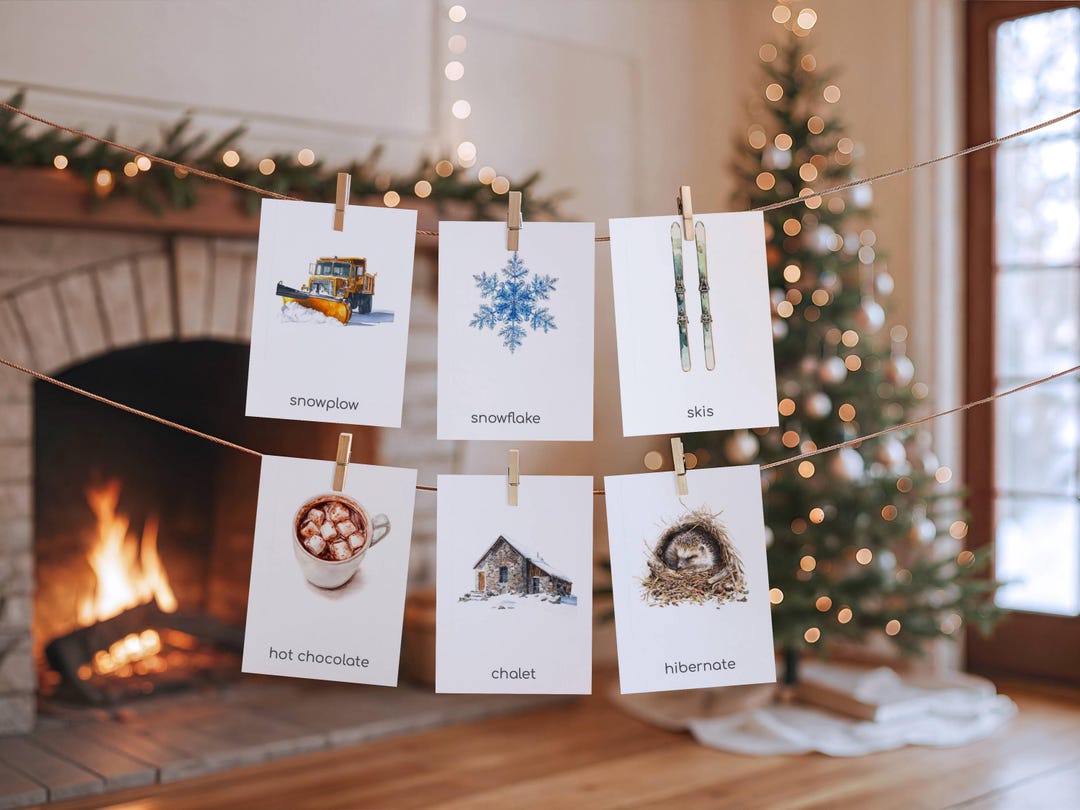 Winter Flashcards, Montessori Three Part Cards, Homeschool Activity ...