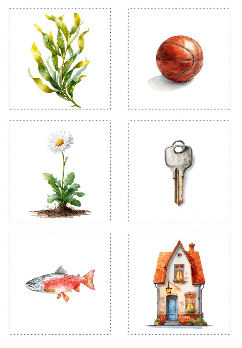 Living Nonliving Science Classification, Montessori Language Cards ...