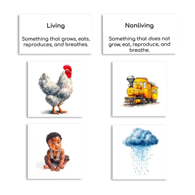 Living Nonliving Science Classification, Montessori Language Cards ...