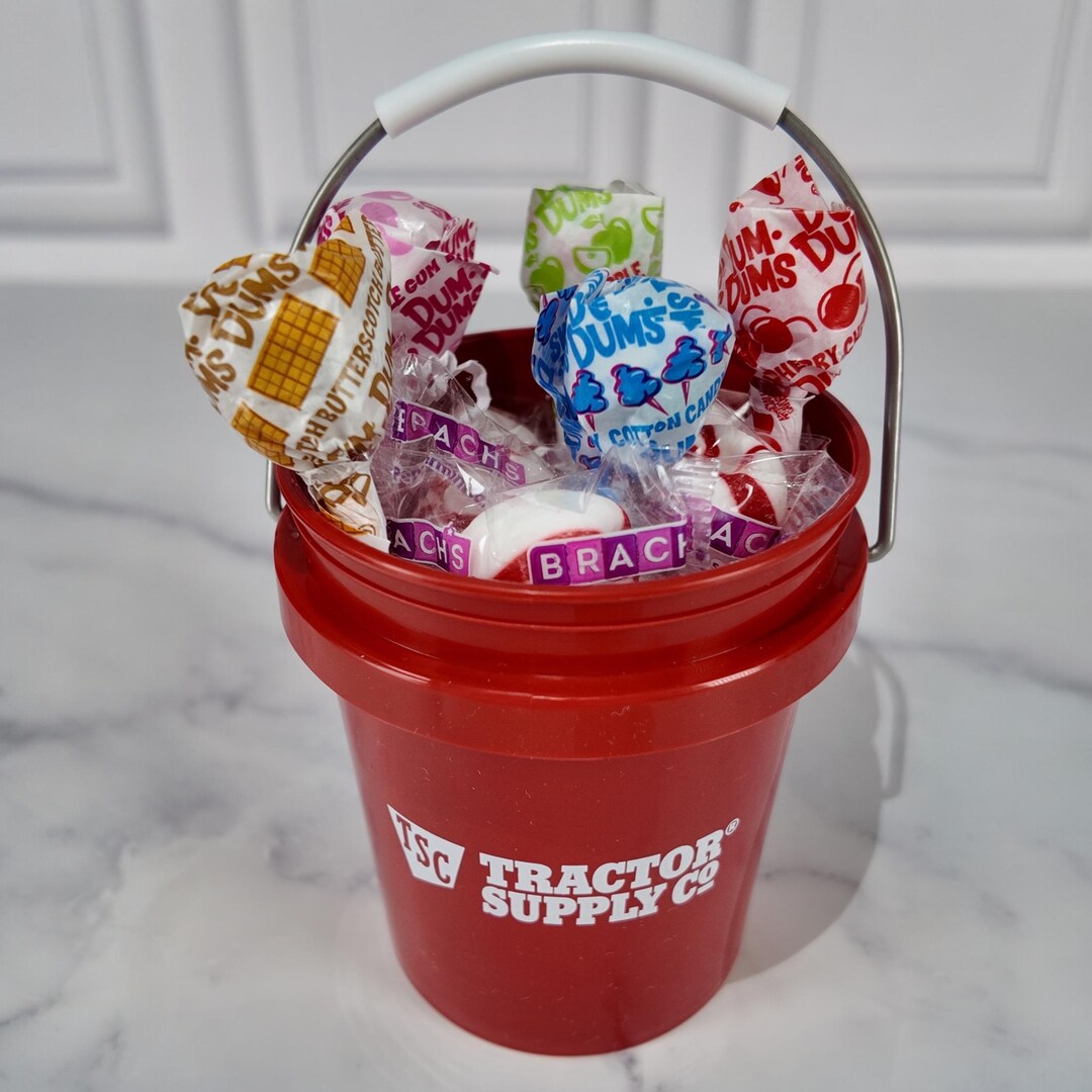 Red Mini Bucket Candy Gift Set – Peppermint & Lollipops Party Favor - Etsy