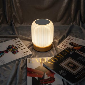 Modern Dimmable Touch Lamp | LED Bedside Table Light | Minimalist Desk ...
